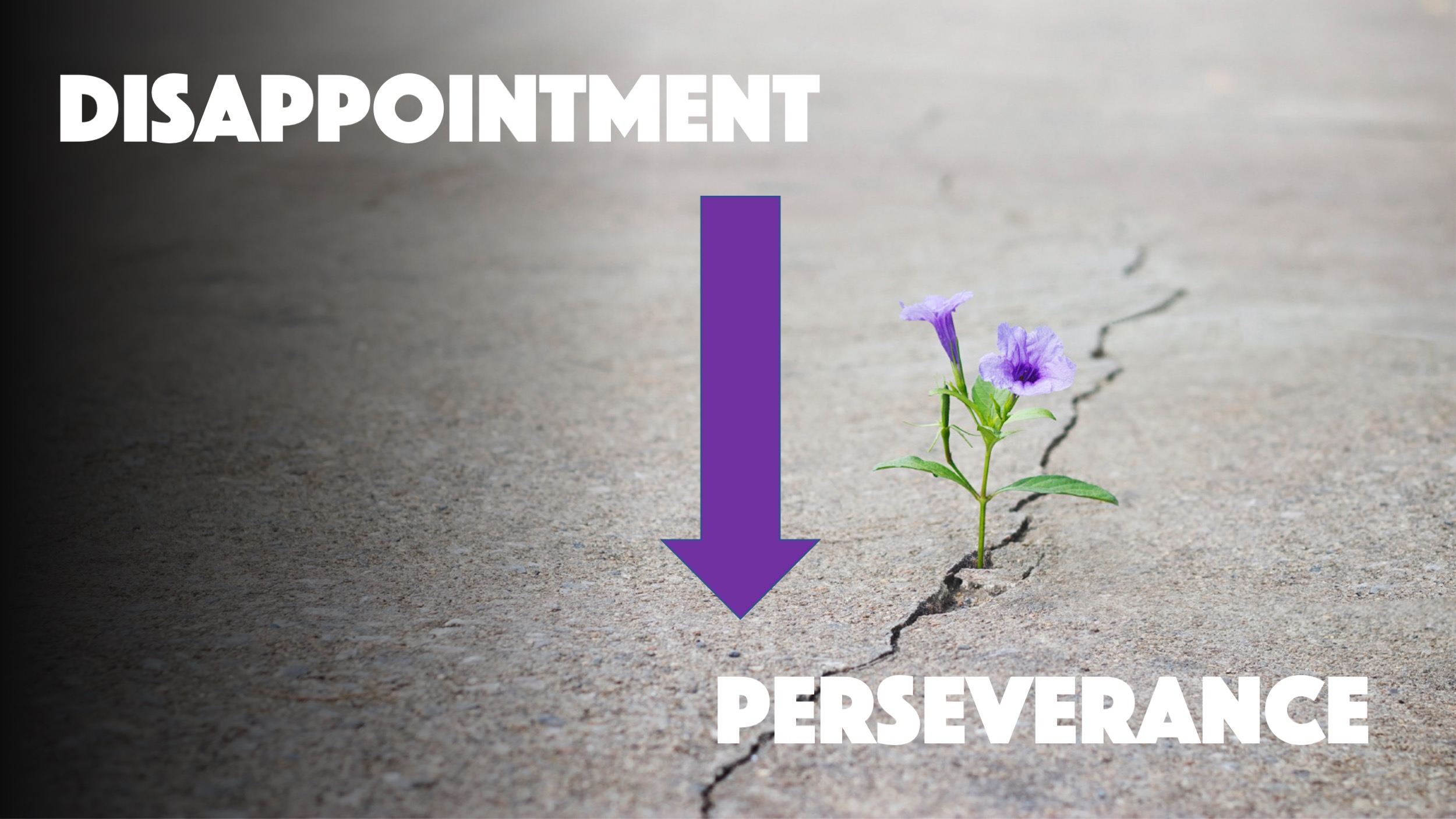 perseverance – The Joy in My Journey