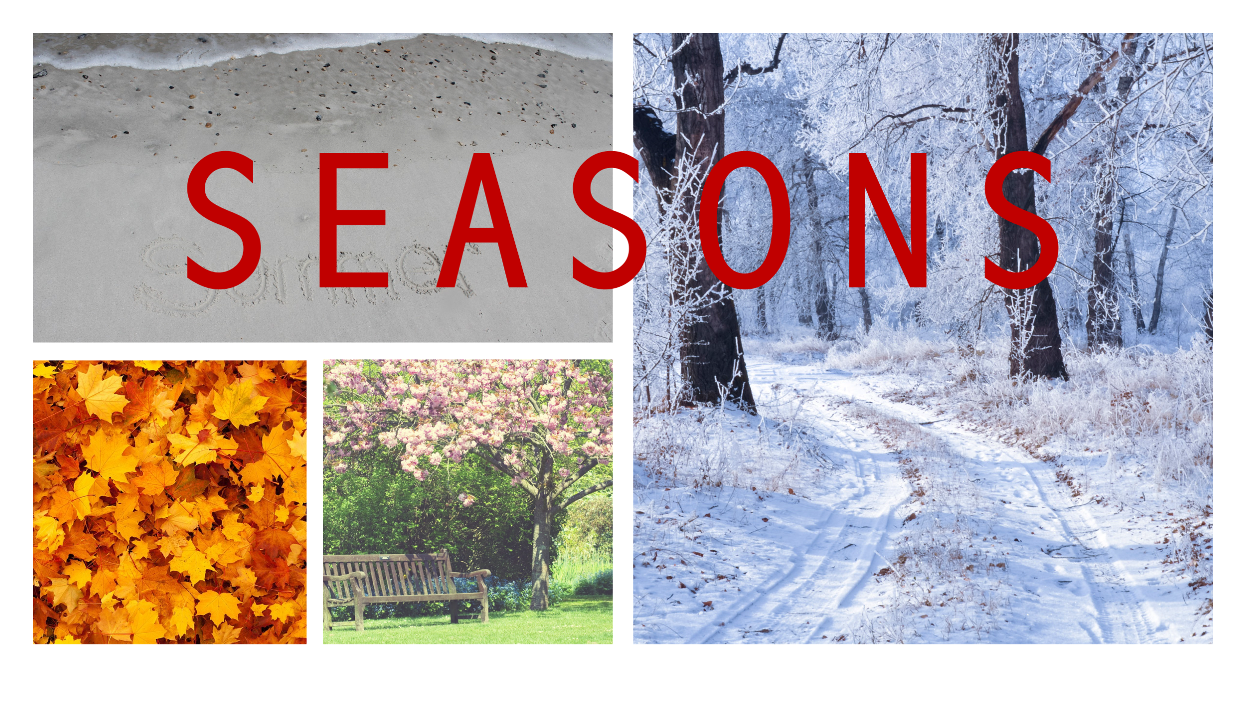 SEASONS – The Joy in My Journey