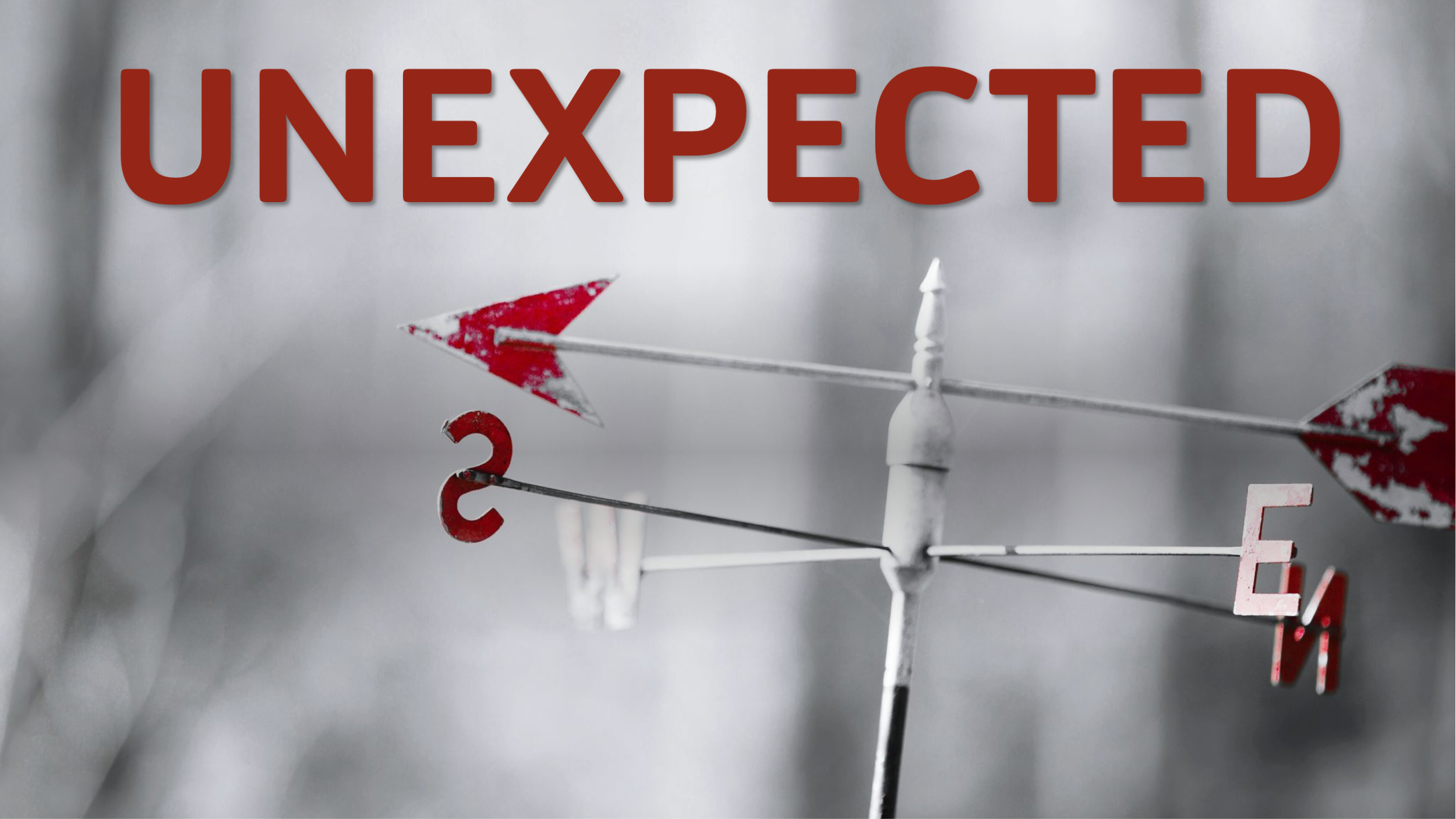 UNEXPECTED – The Joy in My Journey