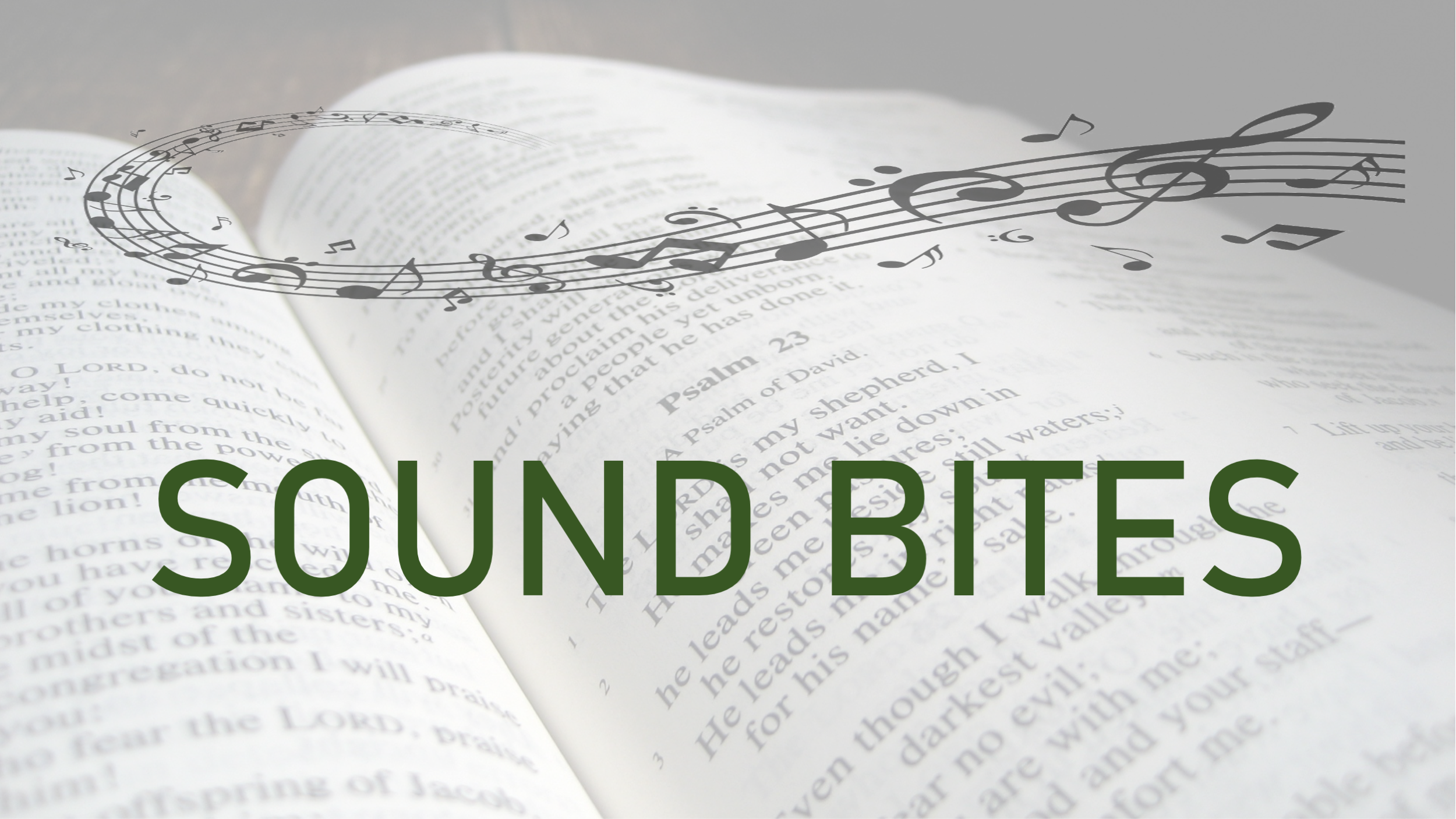 SOUND BITES – The Joy in My Journey