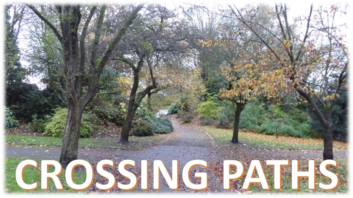CROSSING PATHS – The Joy in My Journey